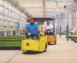 Green Circle Growers Careers